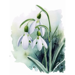 Snowdrop Painting Flowers Watercolor Art Painting Floral Wall Art ...