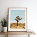 Joshua Tree Painting National Park Watercolor California Landscape Art ...