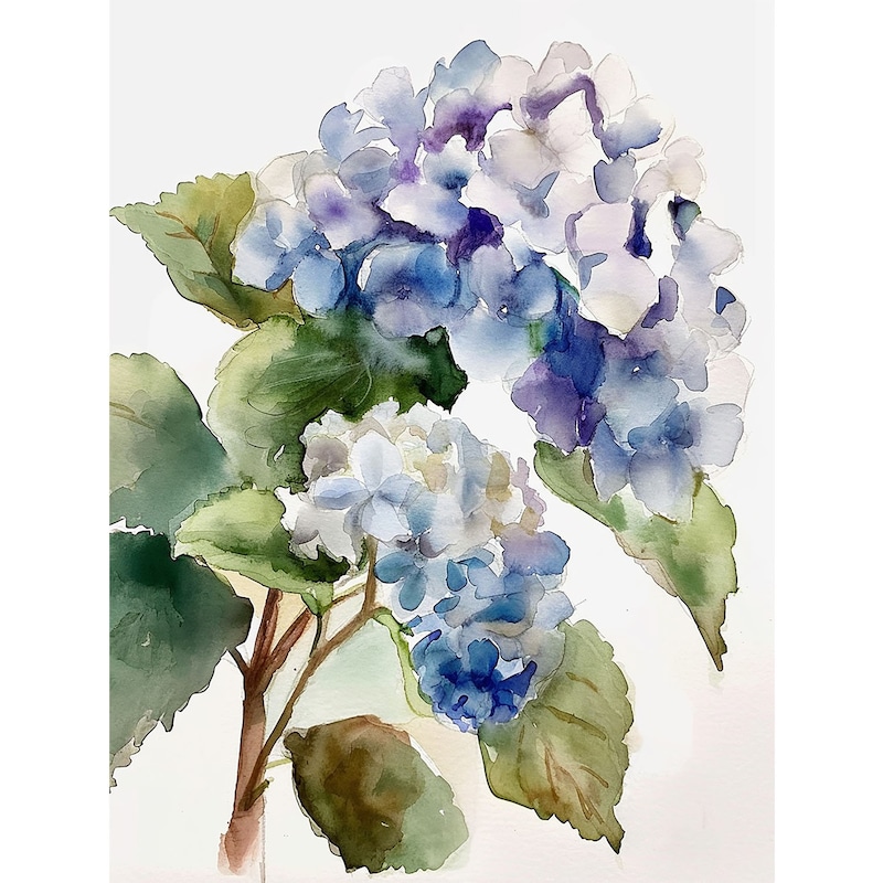 Abstract Hydrangea - Etsy