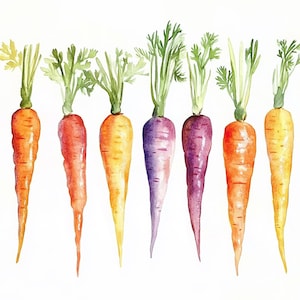 Carrot Painting Vegetable Watercolor Print Carrots Wall Art Kitchen ...