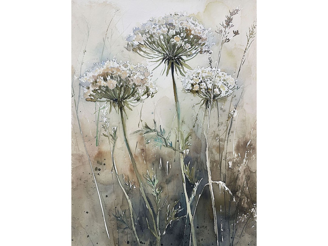 Queen Anne's Lace Painting Wildflowers Watercolor Art Print Meadow Wall ...
