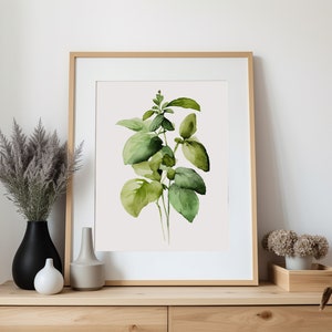 Basil Painting Herbs Watercolor Art Print Botanical Kitchen Wall Art ...