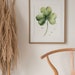 Shamrock Painting Shamrocks Watercolor Art Print Ireland Wall Art Irish ...