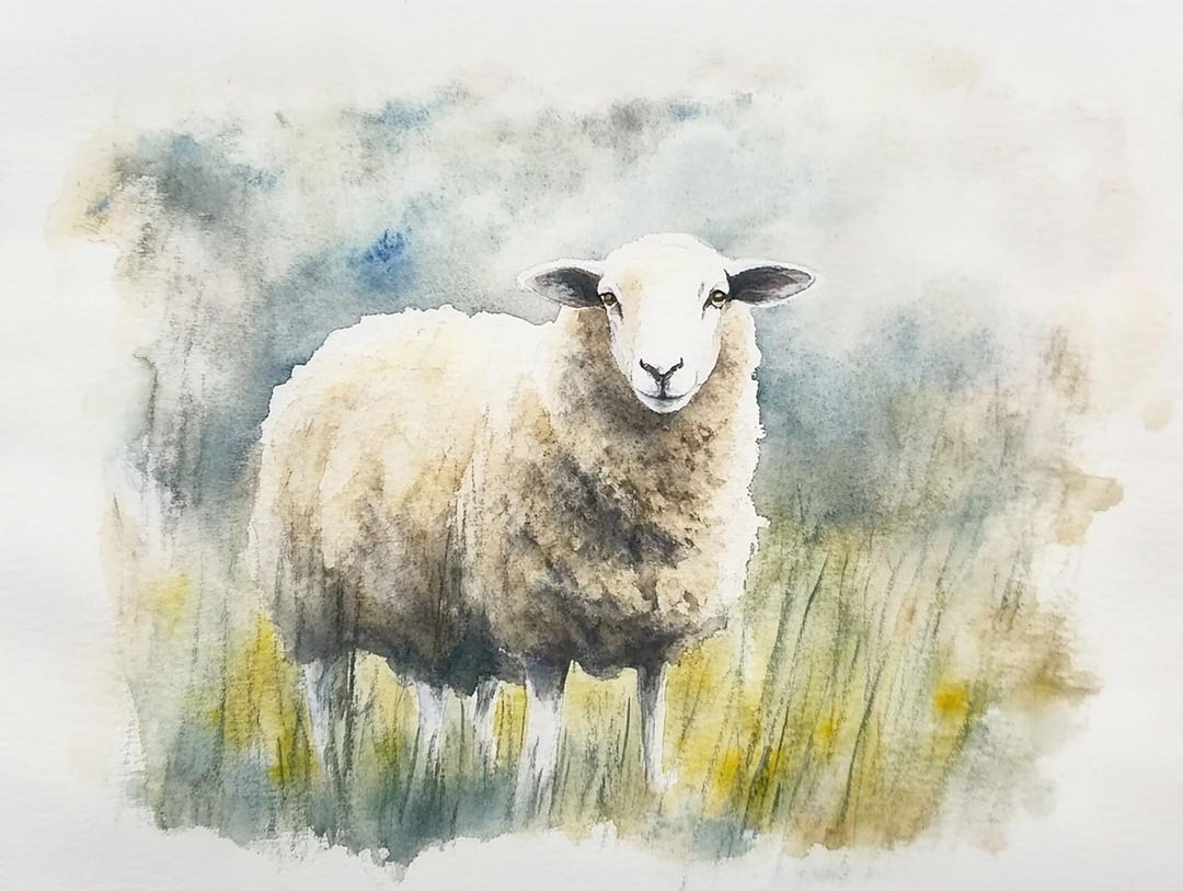 Sheep Painting Irish Sheep Wall Art Rustic Watercolor Print Farming ...