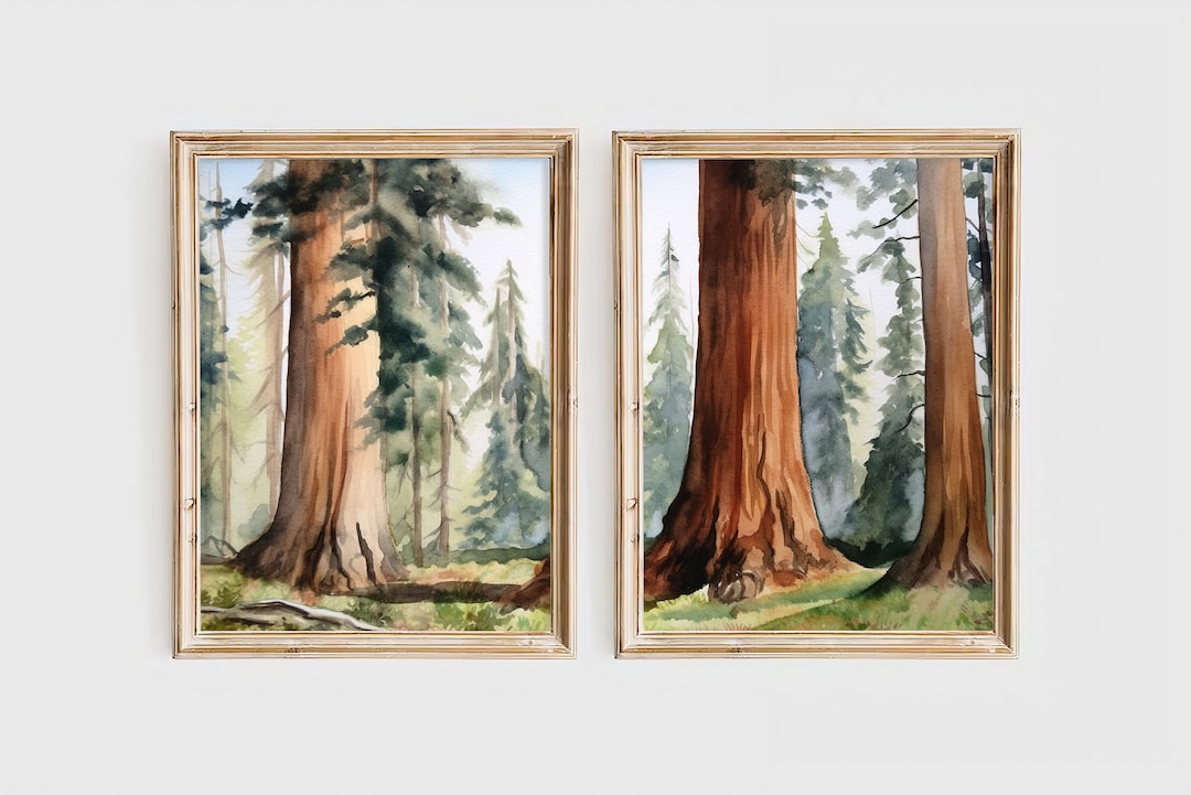 Sequoia Trees Prints Set of 2 Watercolor Painting California Forest ...