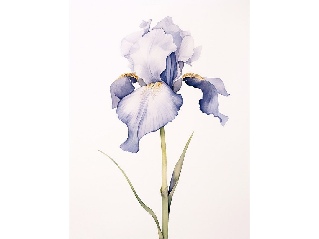 Iris Painting Botanical Watercolor Art Print Minimalist Floral Wall Art ...
