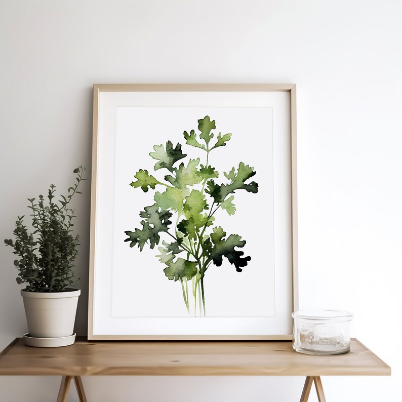 Parsley Watercolor Painting Herbs Art Print Minimalist Kitchen Wall Art ...