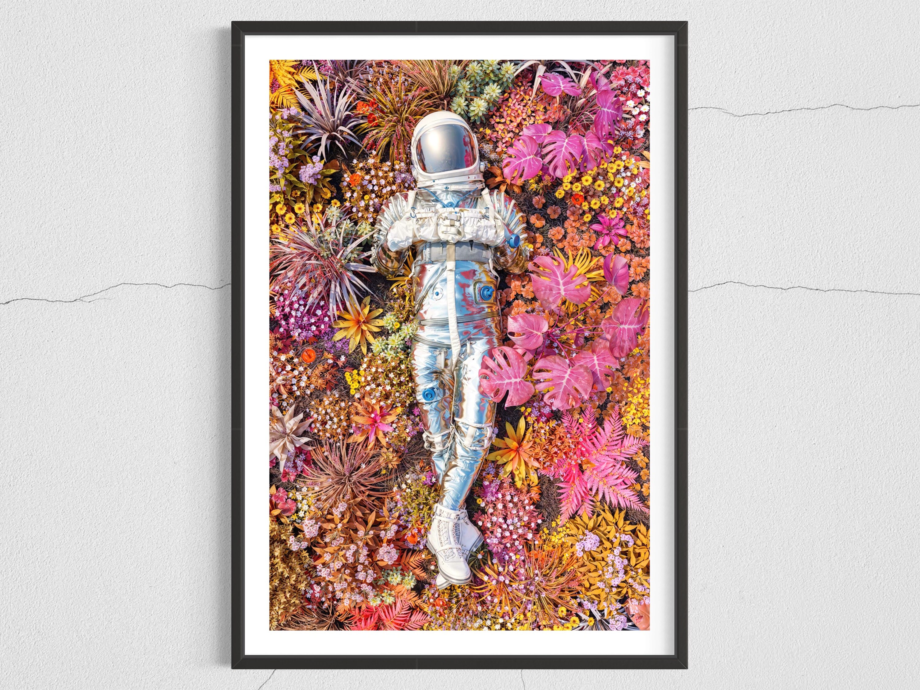 Infrared Astronaut Poster Aerial View Landscape Poster. Limited Edition ...