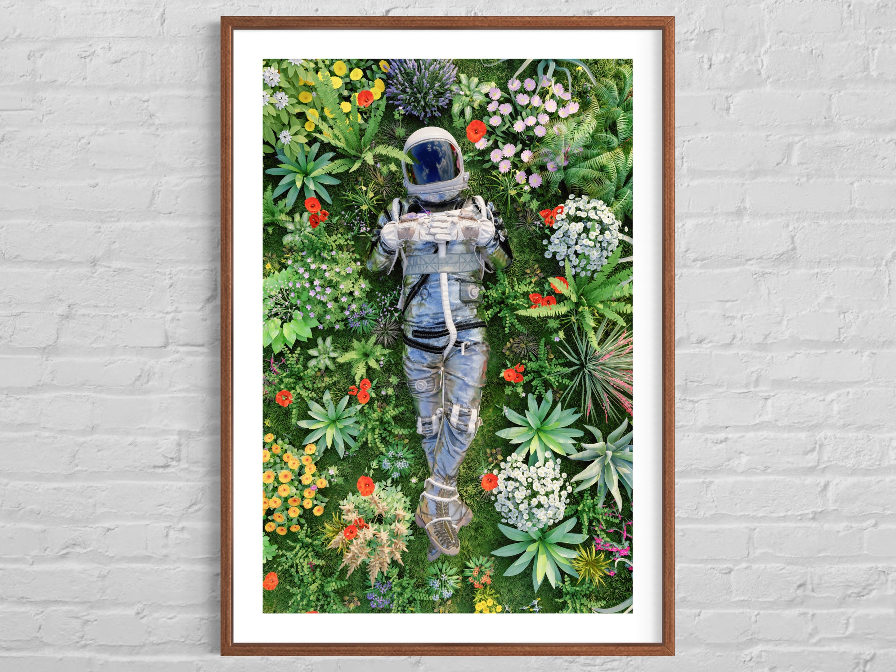Astronaut's Siesta Poster - Aerial View Landscape Poster. Limited ...