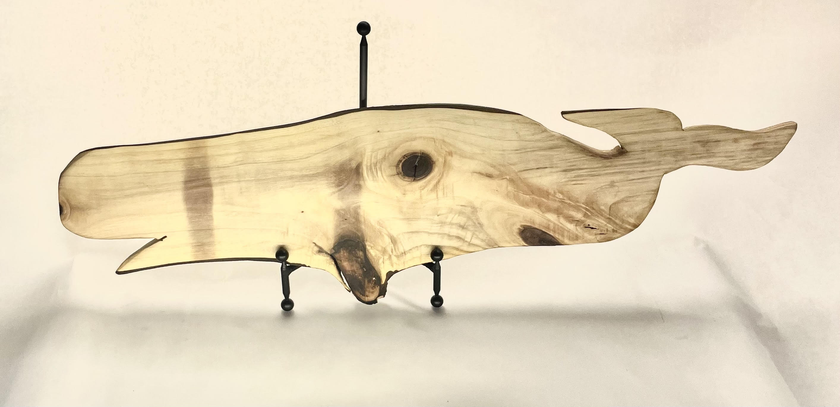 Incredibly Shaped Live Edge Sperm Whale - Etsy