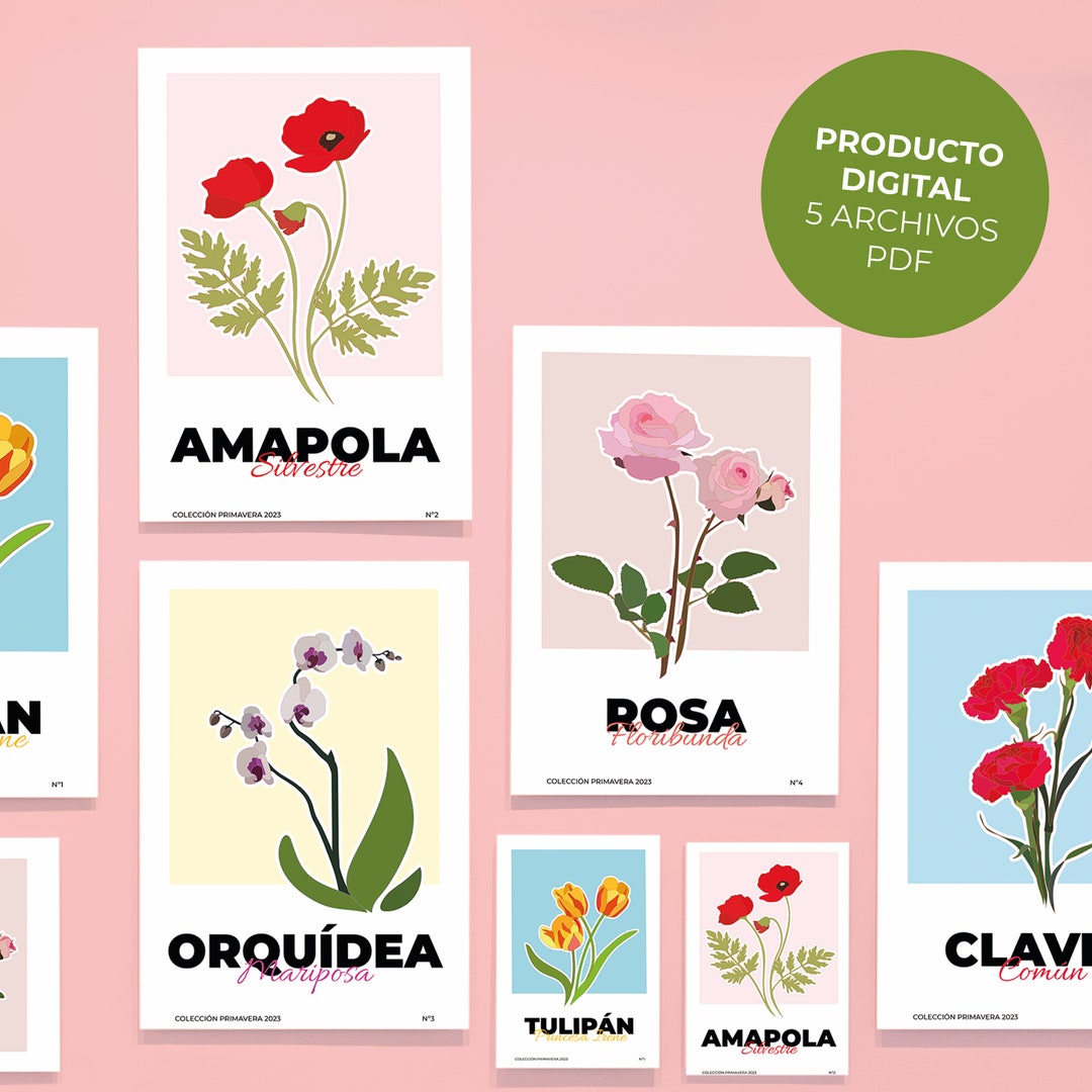 5 Wildflower Posters With Names Spanish Floral Folklore for Botany ...