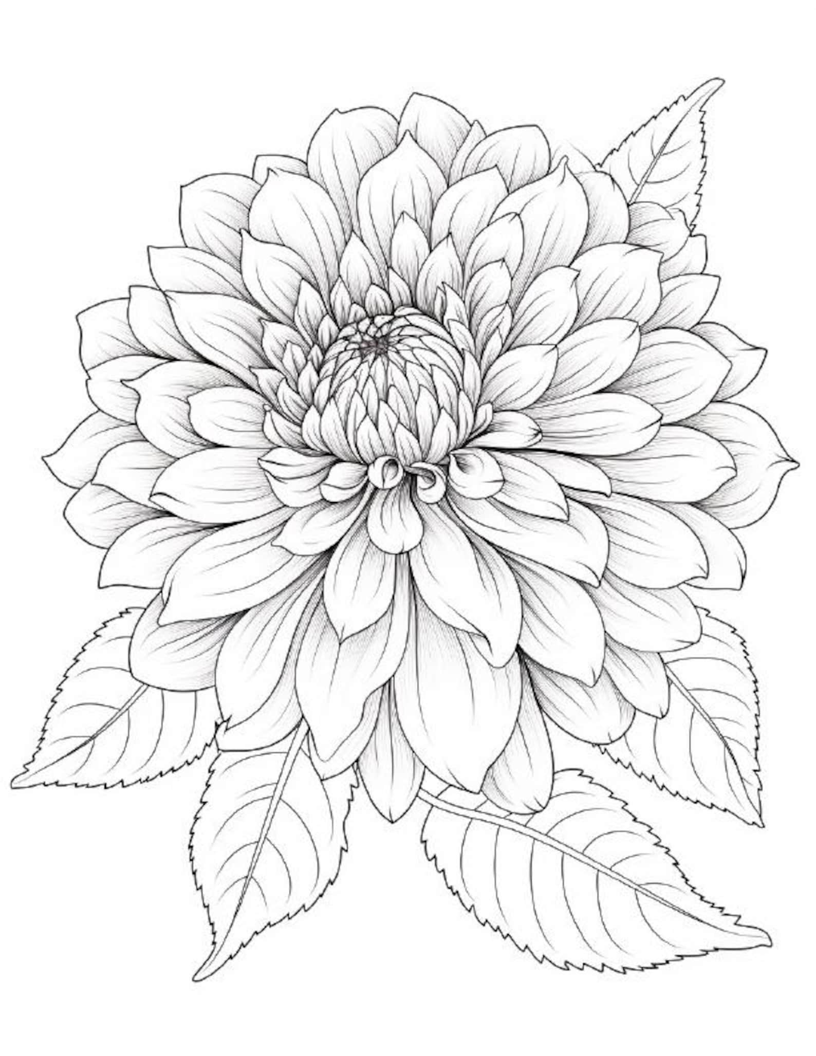 30 Printable Flower Coloring Pages - PNG Digital Download + Bonus 205 ...