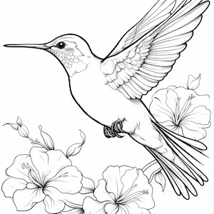100 Hummingbird & Flower Coloring Pages PDF | Instant Download ...
