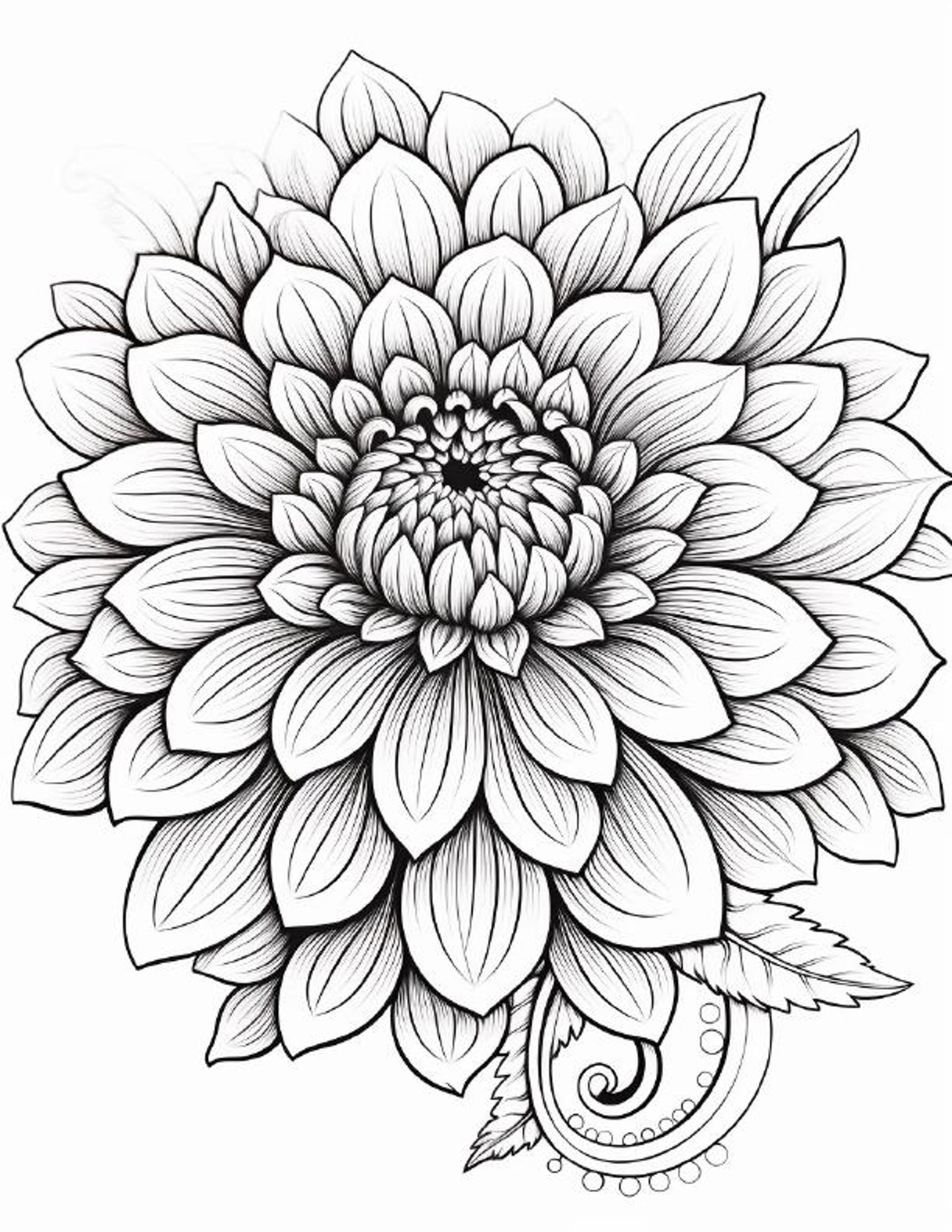 30 Printable Flower Coloring Pages - PNG Digital Download + Bonus 205 ...