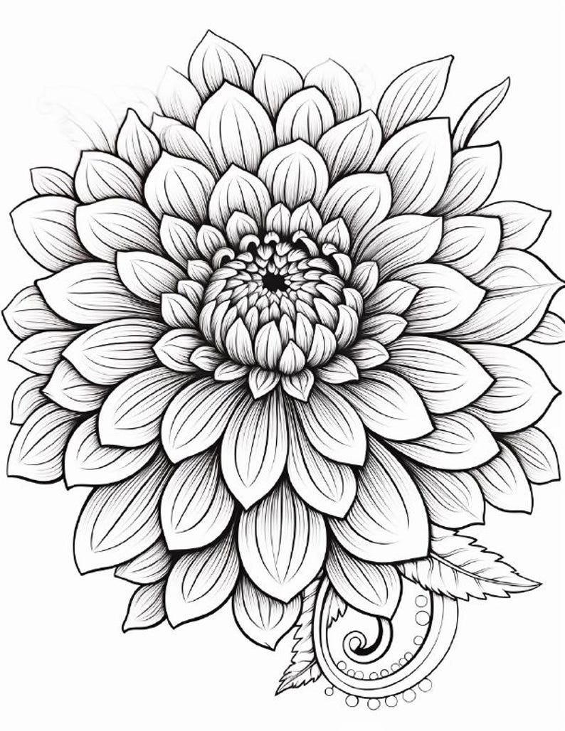 30 Printable Flower Coloring Pages - PNG Digital Download + Bonus 205 ...