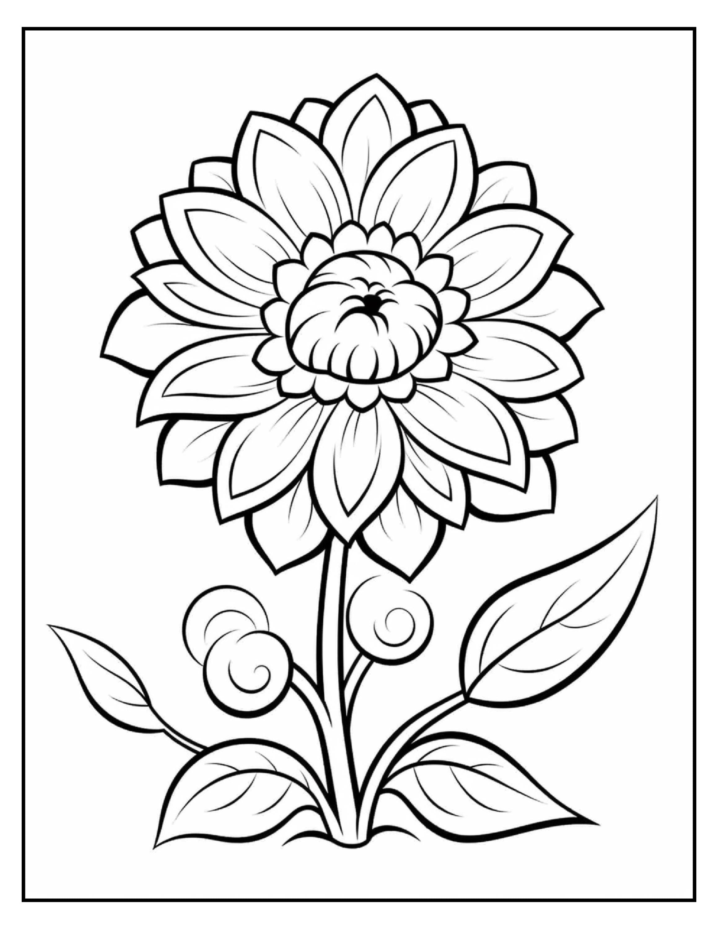 53 Easy Flower Coloring Pages Instant PDF Download Relaxing Floral ...