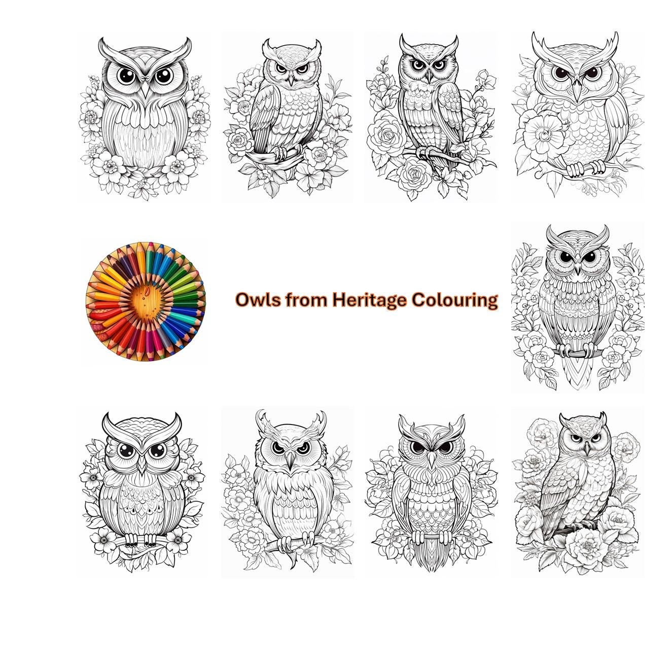 112 Beautiful Owl Coloring Pages | PDF Download + JPG & PNG Files - Etsy