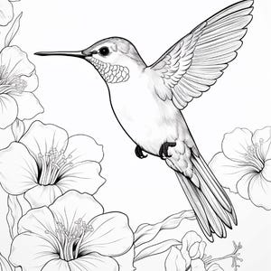 100 Hummingbird & Flower Coloring Pages PDF | Instant Download ...