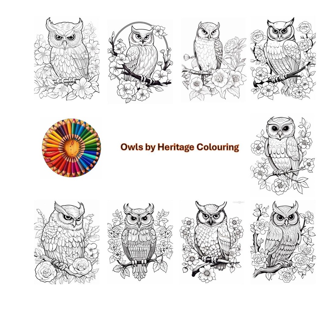Owl Coloring Pages: 200 Printable Designs (PDF, JPG, PNG) - Etsy