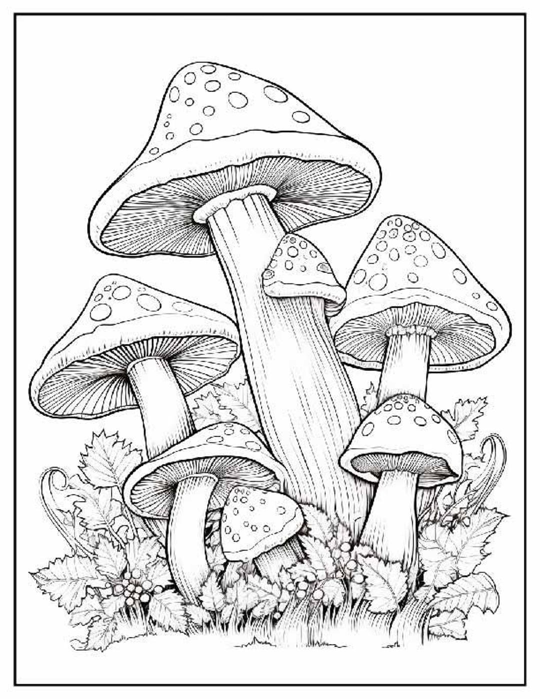 100 Printable Mushroom Coloring Pages PDF + Bonus: 150 JPG Files for ...
