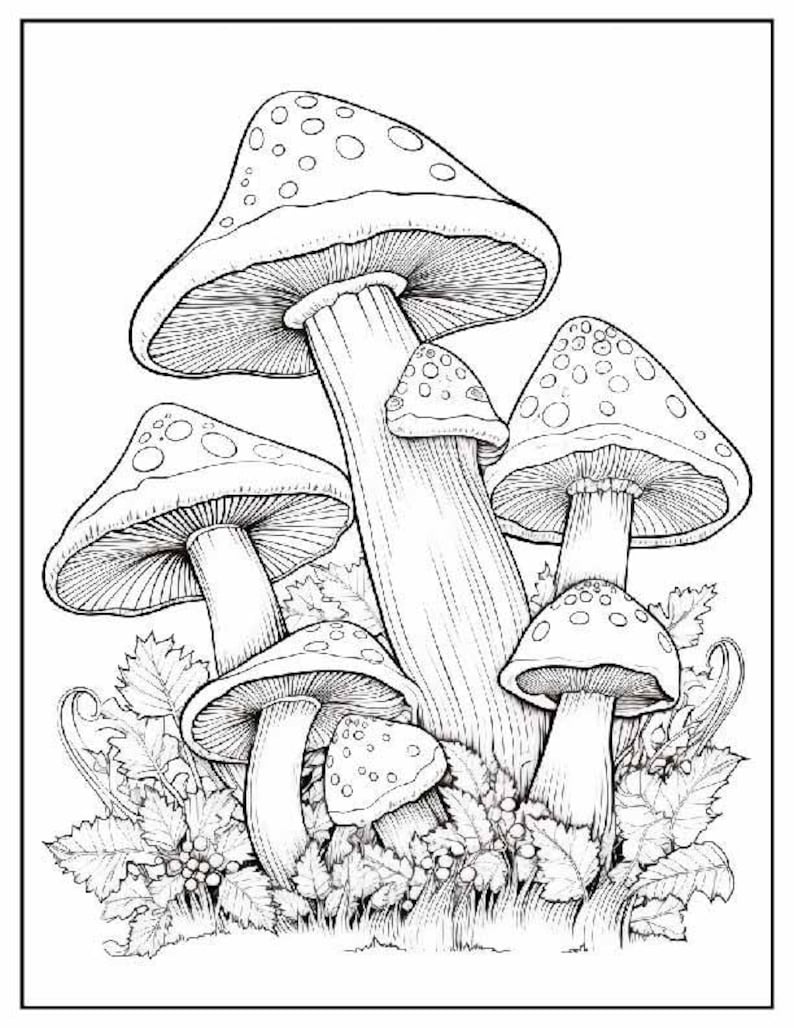 Mushroom Coloring Pages: Nature-inspired Art Therapy (PDF & JPG) - Etsy