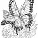 Butterfly & Flower Coloring Pages: 211 Intricate Designs (PDF Download ...