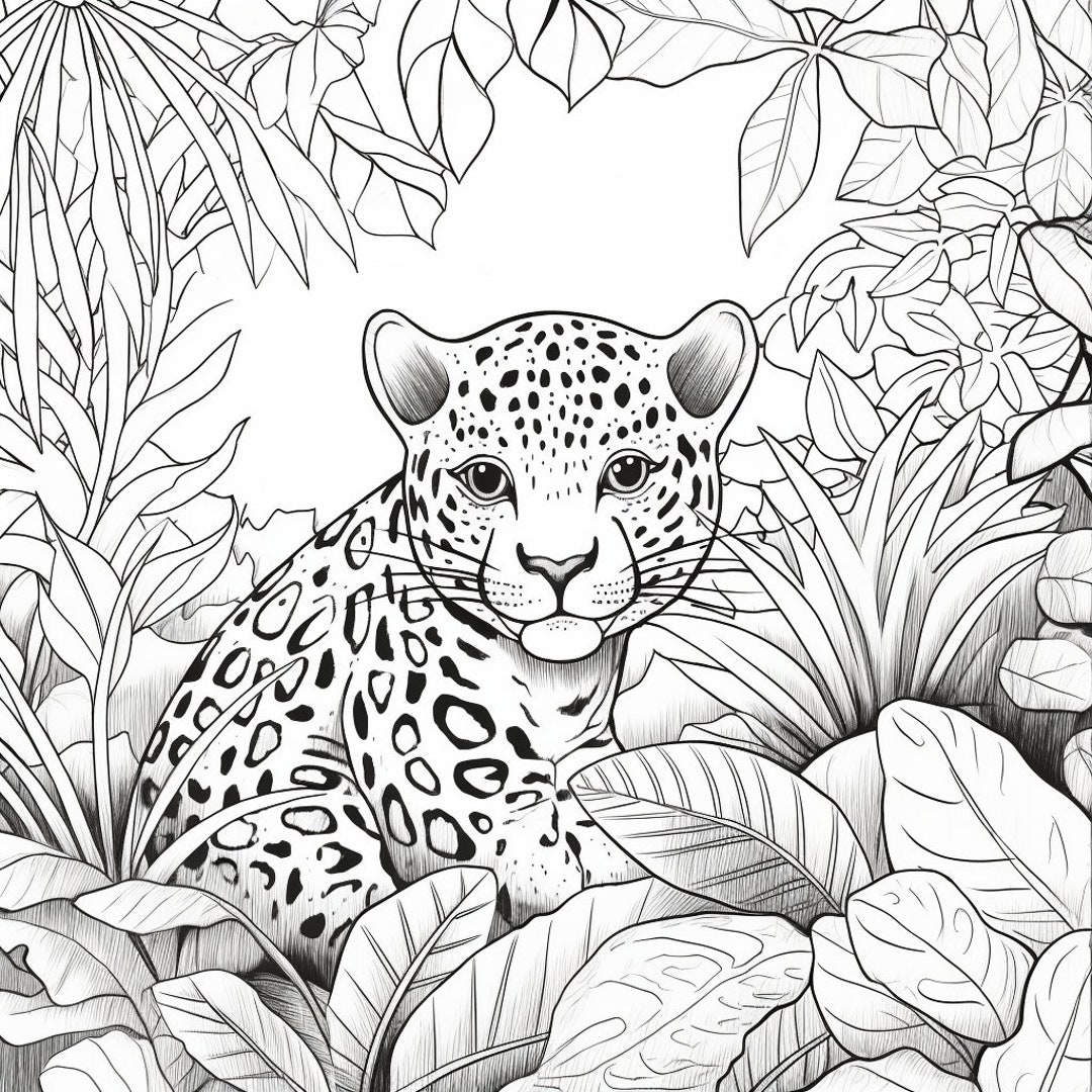 Jungle Animals Coloring Book: 96 Tropical Rainforest Designs - Etsy