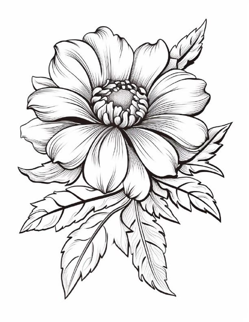 30 Printable Flower Coloring Pages - PNG Digital Download + Bonus 205 ...