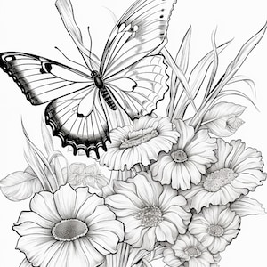 Butterfly & Flower Coloring Pages: 211 Intricate Designs (PDF Download ...