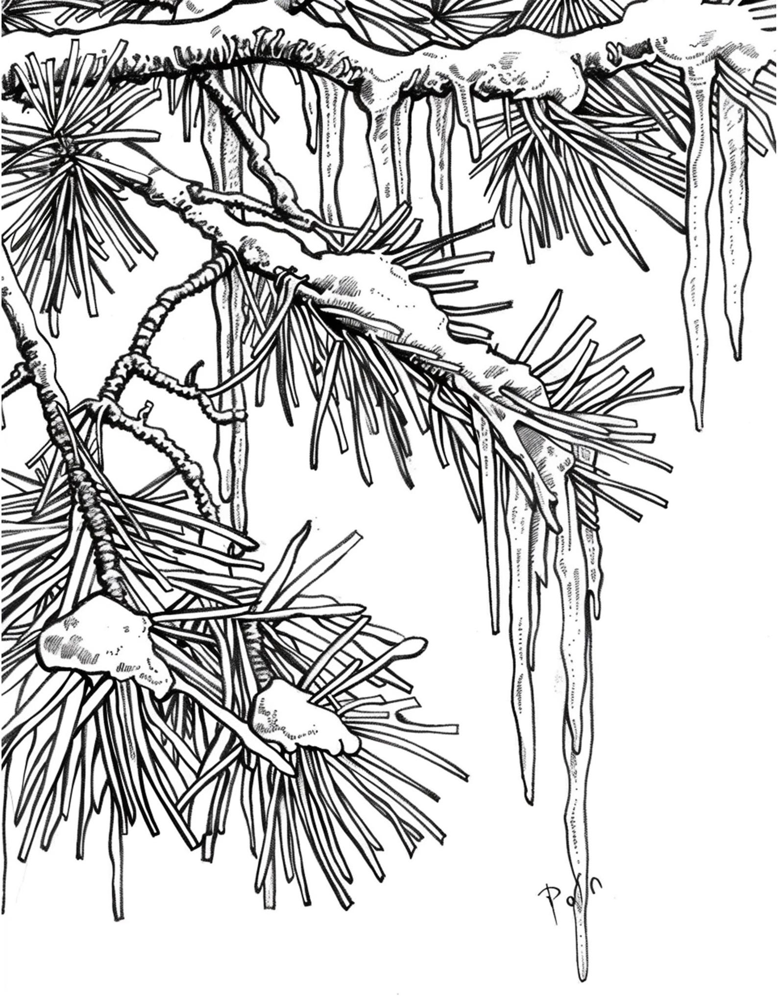 140 Winter Coloring Pages | PDF With Instant Download + JPG & PNG Files ...