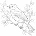 250 Bird Designs Coloring Book: Printable Avian Art (PDF) - Etsy