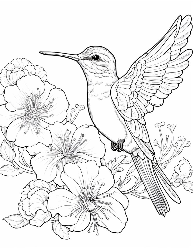 100 Hummingbird & Flower Coloring Pages PDF | Instant Download ...