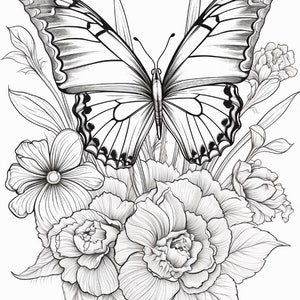Butterfly & Flower Coloring Pages: 211 Intricate Designs (PDF Download ...