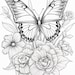 Butterfly & Flower Coloring Pages: 211 Intricate Designs (PDF Download ...