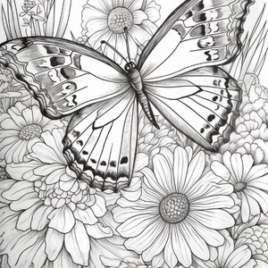 Butterfly & Flower Coloring Pages: 211 Intricate Designs (PDF Download ...