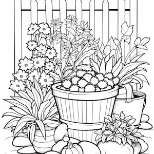 10 X Garden Flower Pages to Color - Etsy