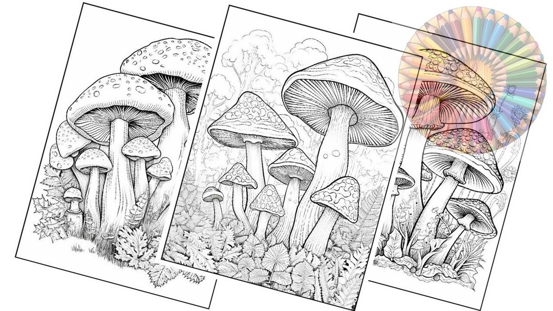 100 Printable Mushroom Coloring Pages PDF Bonus: 150 JPG Files for ...