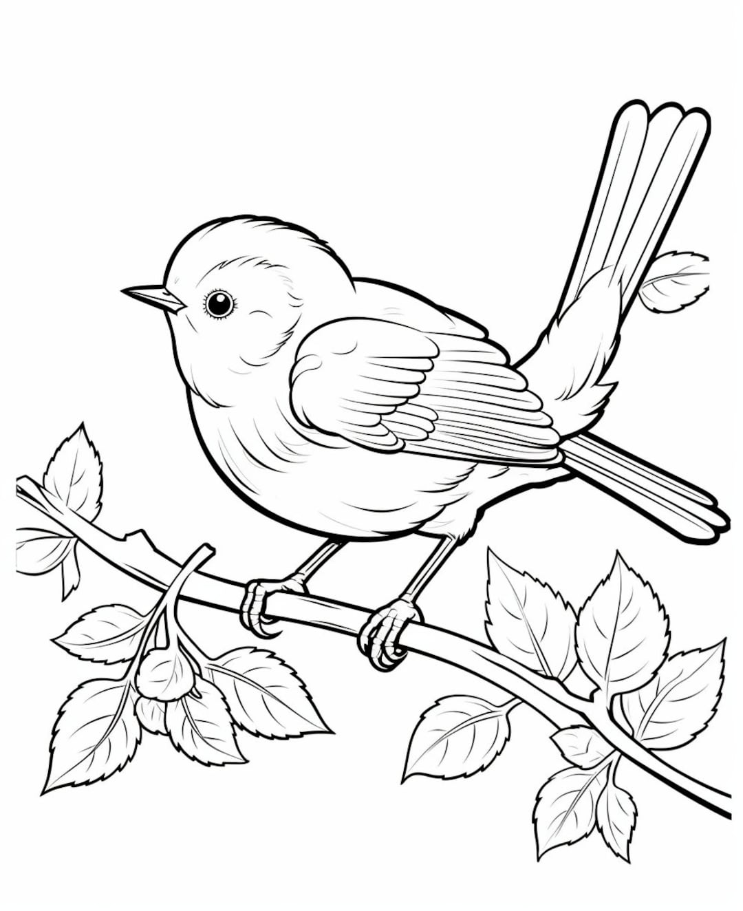 250 Beautiful Bird Designs - Printable PDF Coloring Book - Etsy UK