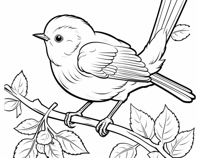 Small Garden Birds UK Colouring Page digital Download, Print at Home ...