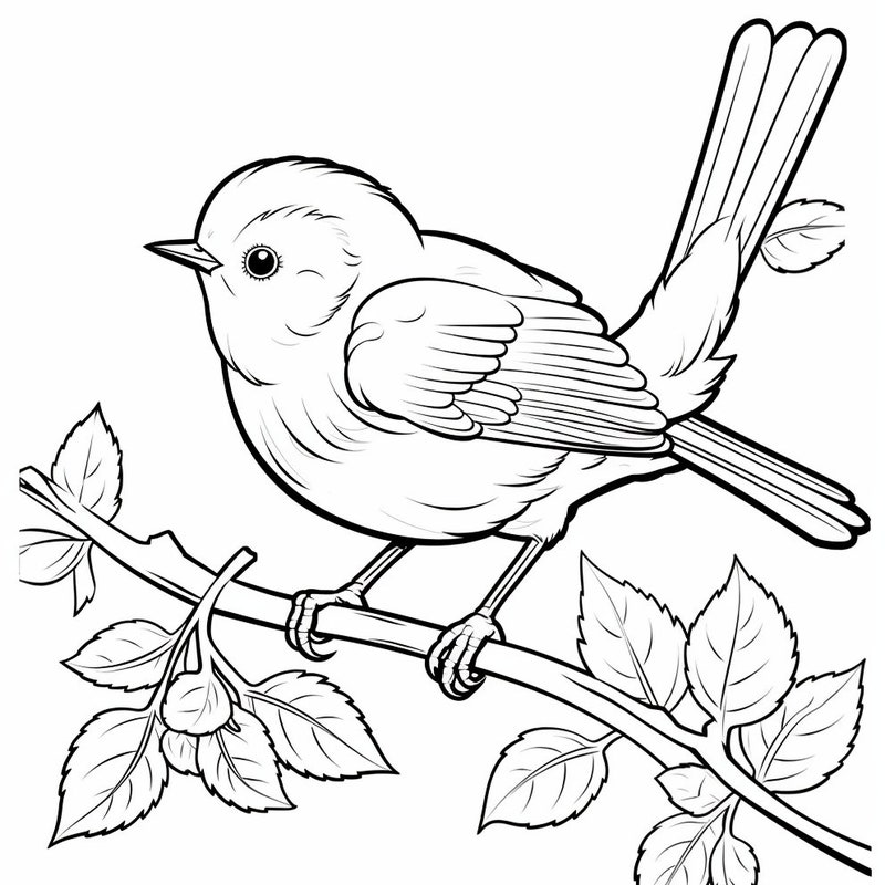 Birds Coloring Book - Etsy