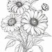 230 Wild Flowers Digital Coloring Book. Instant Download PDF & JPG ...