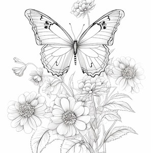 Butterfly & Flower Coloring Pages: 211 Intricate Designs (PDF Download ...