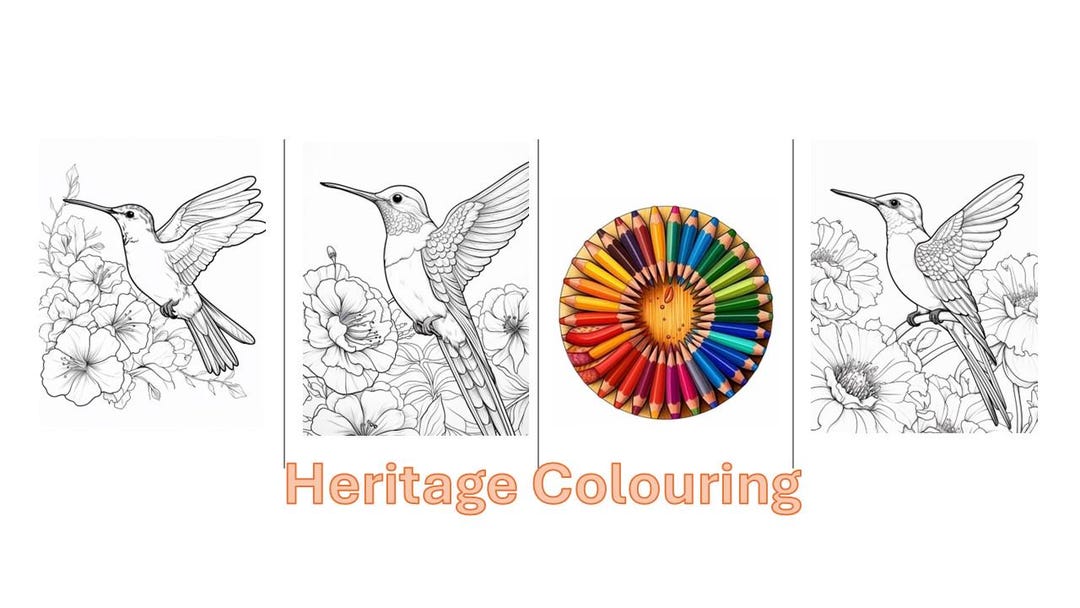 100 Hummingbird & Flower Coloring Pages PDF Instant Download Includes ...