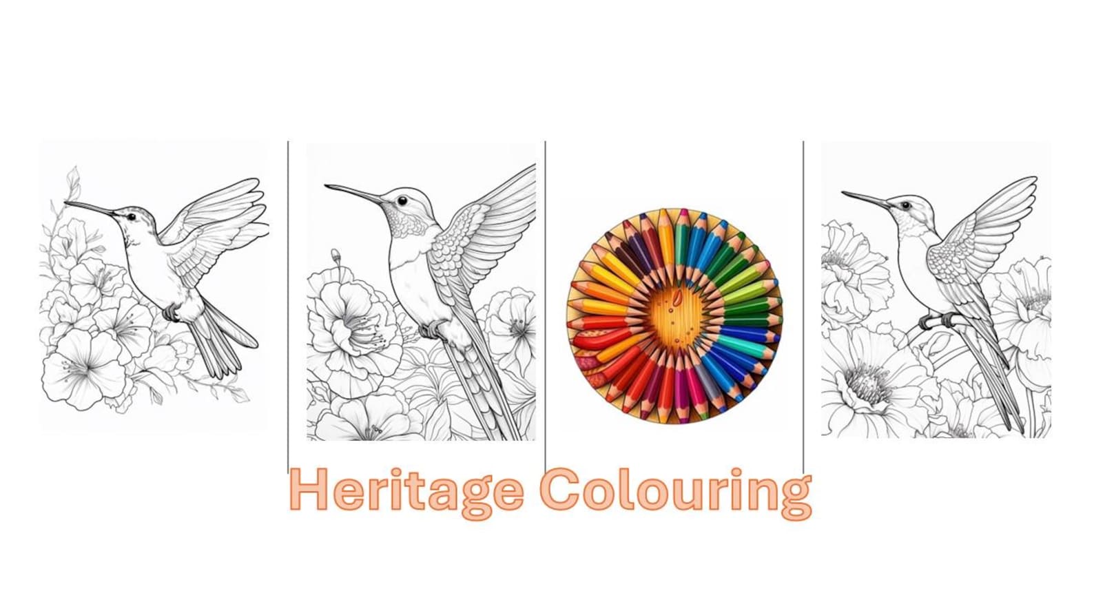 100 Hummingbird & Flower Coloring Pages PDF | Instant Download ...
