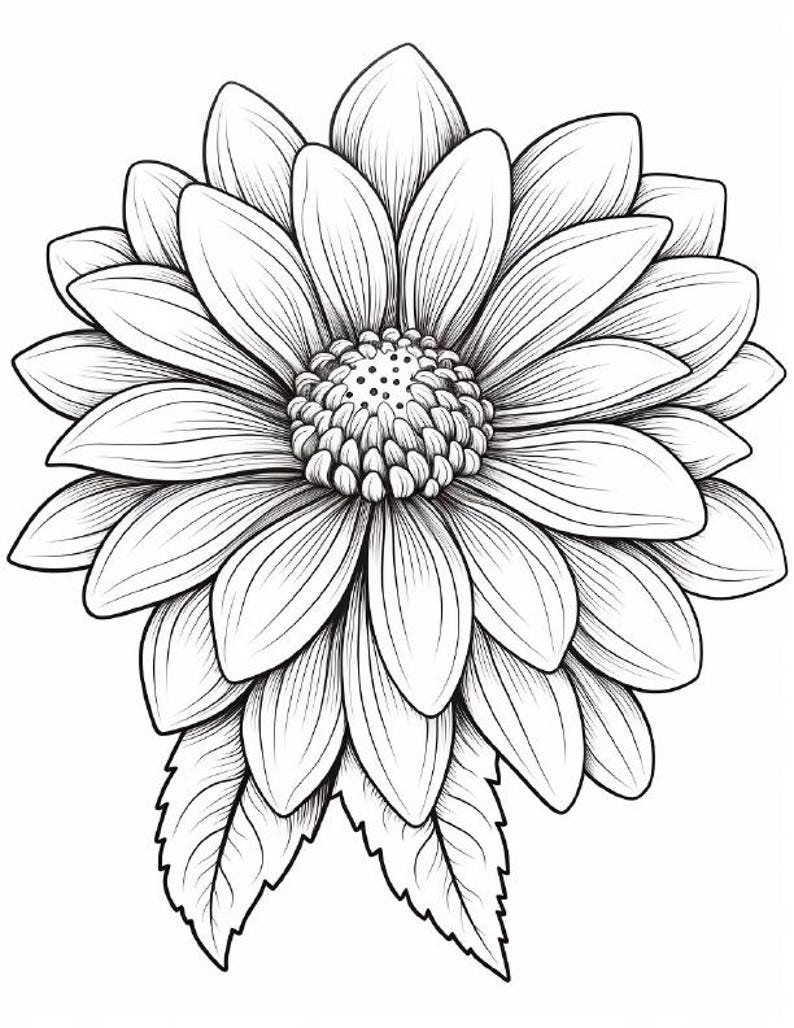 30 Printable Flower Coloring Pages - PNG Digital Download + Bonus 205 ...