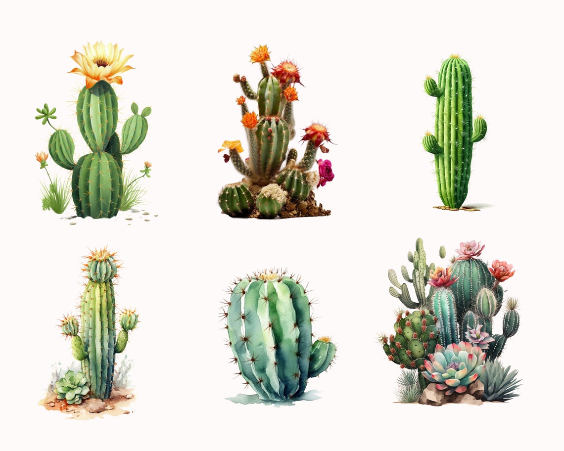 Watercolor Cactus Clipart Desert Cactus PNG Instant - Etsy
