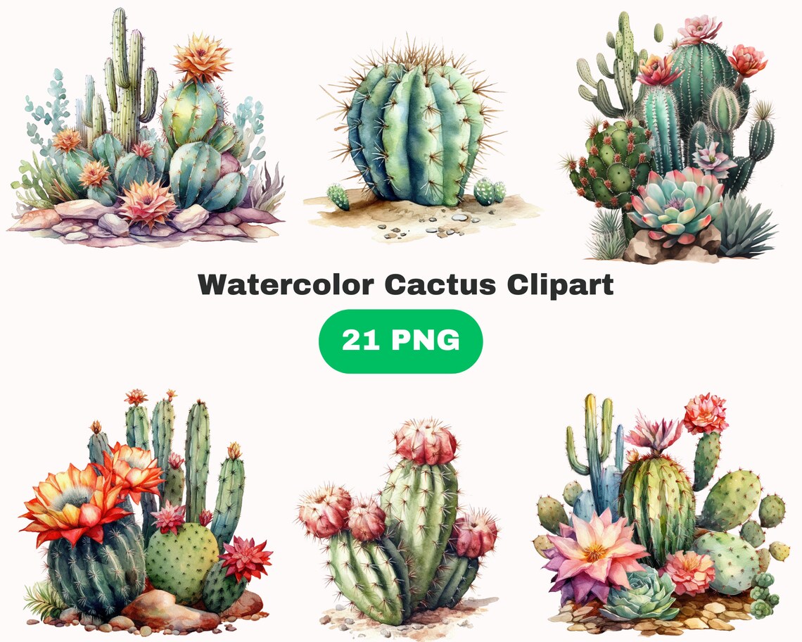 Watercolor Cactus Clipart Desert Cactus PNG Instant - Etsy