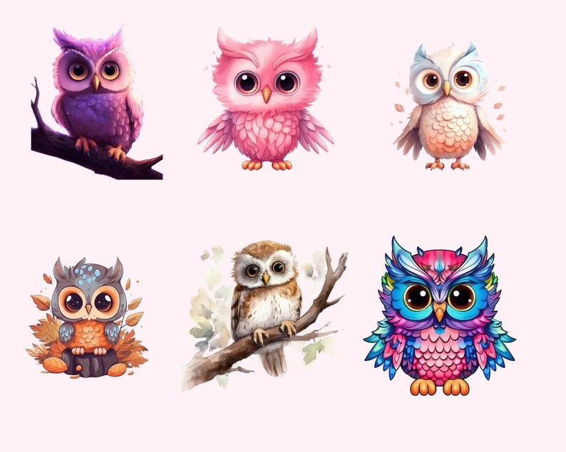Colorful Cute Owl Clipart Bundle Vibrant Colors Owl Clipart - Etsy