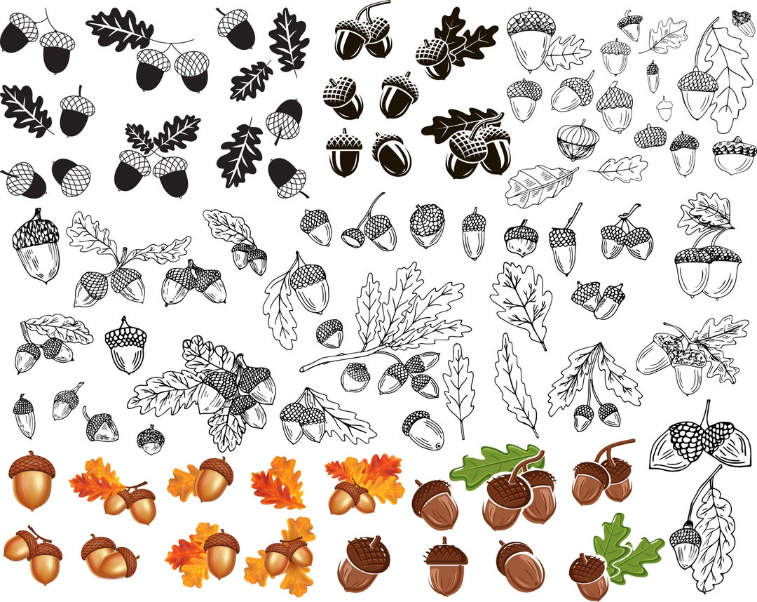 Acorn SVG Bundle, Acorn Clipart, Acorn Svg,acorn Vector, Autumn Svg ...