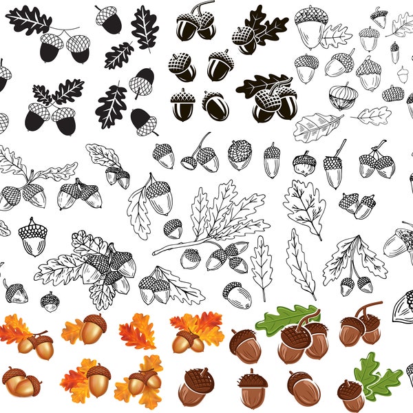 Acorn Clipart - Etsy
